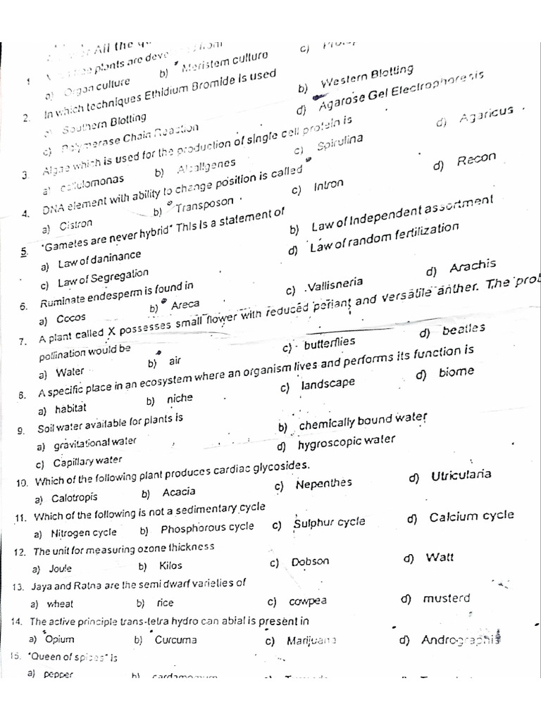 12th Botany Full Test Question Paper 2025 | PDF