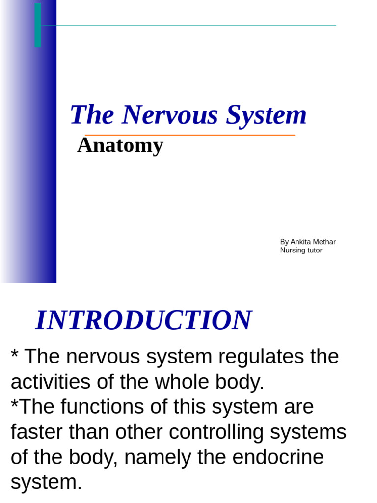 Nervous System Introduction | PDF | Neuron | Axon