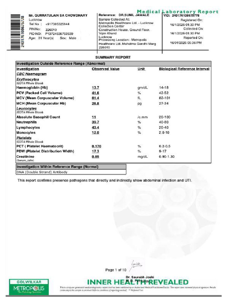 Medical Report QL | PDF
