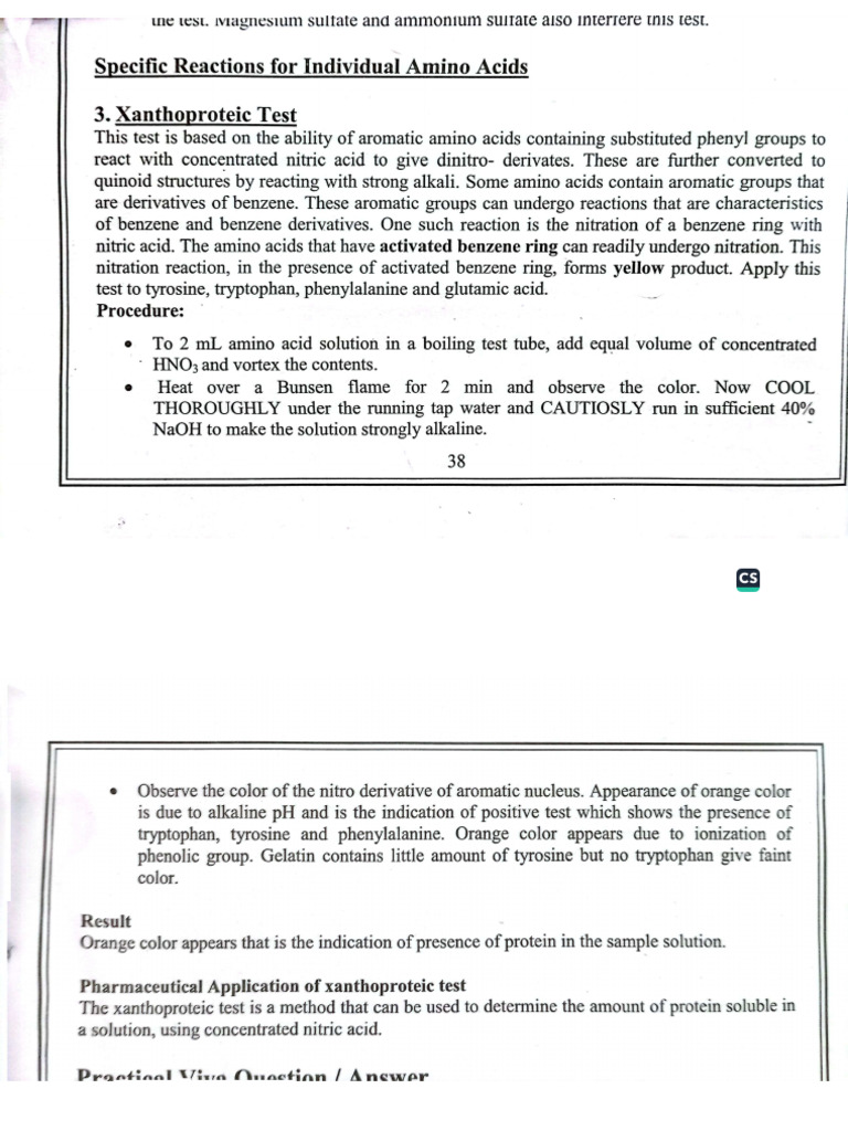 Xanthoproteic Test | PDF
