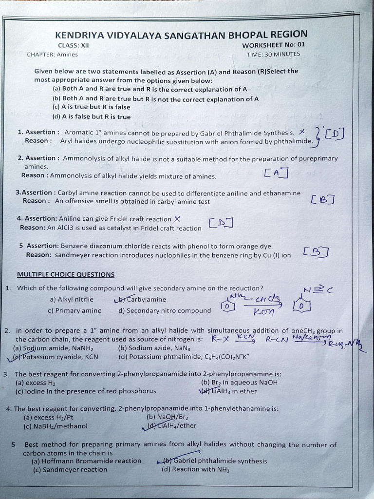 Amines Worksheet Solution | PDF