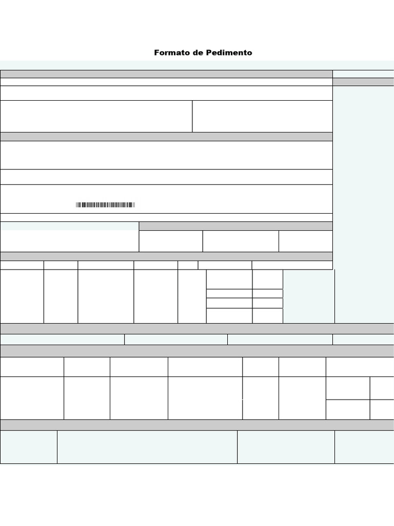 formato-de-pedimento | PDF | Business
