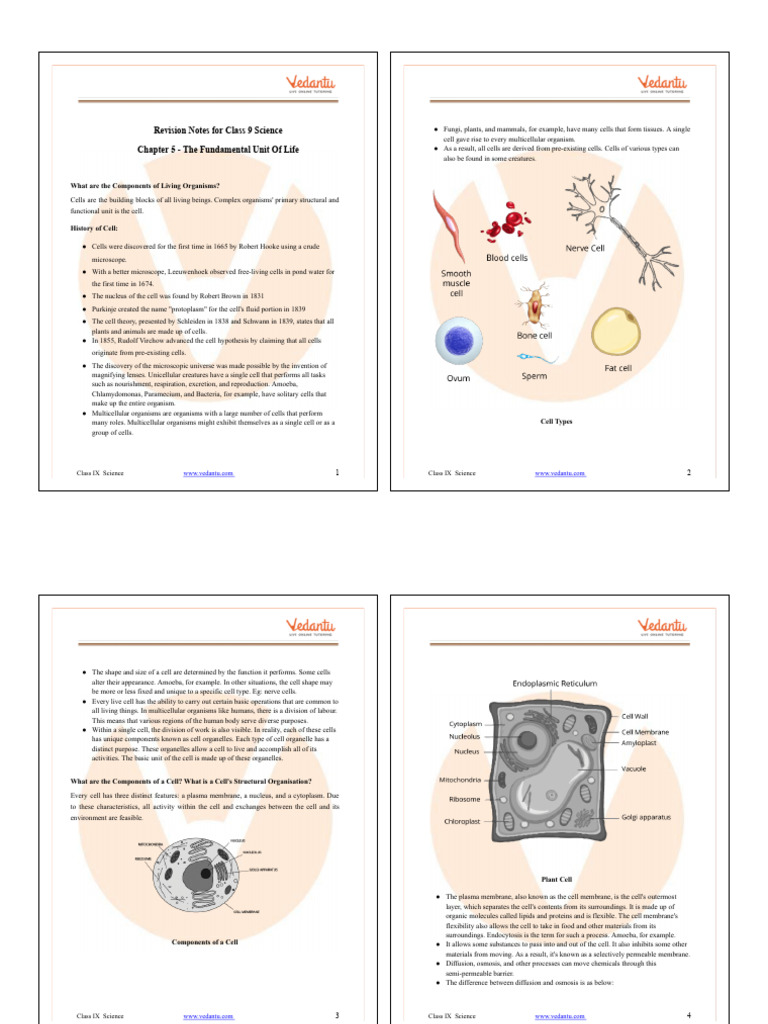 Cbse Class 9 Science Notes Chapter 5 The Fundamental Unit of Life | PDF ...