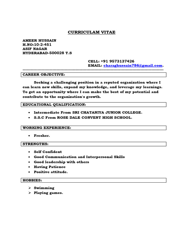 CV Ameer Hussain 2022 | PDF