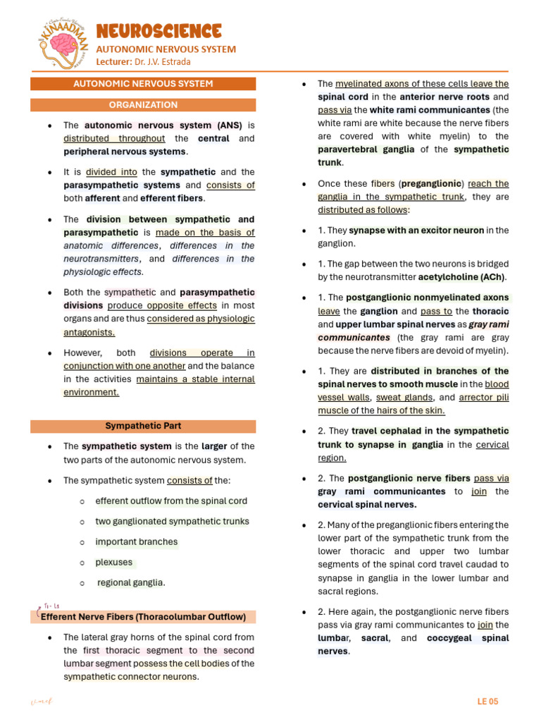 Autonomic Nervous System Overview | PDF | Autonomic Nervous System | Nervous System
