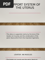 Ligaments of The Female Reproductive Tract - TeachMeAnatomy | PDF ...