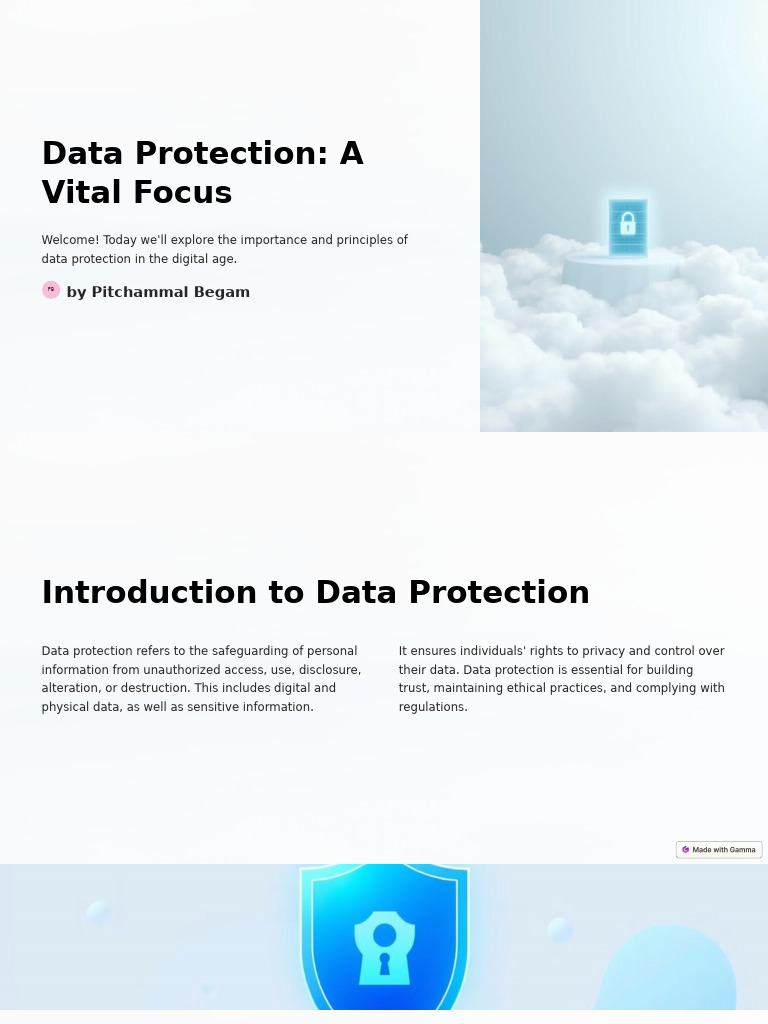 Data Protection A Vital Focus | PDF | Privacy | Information Privacy