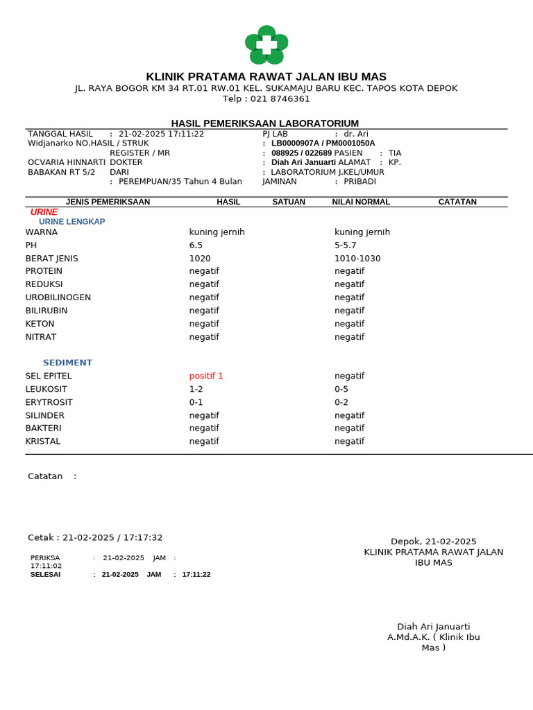 Hasil Laboratorium-20250221171732 | PDF