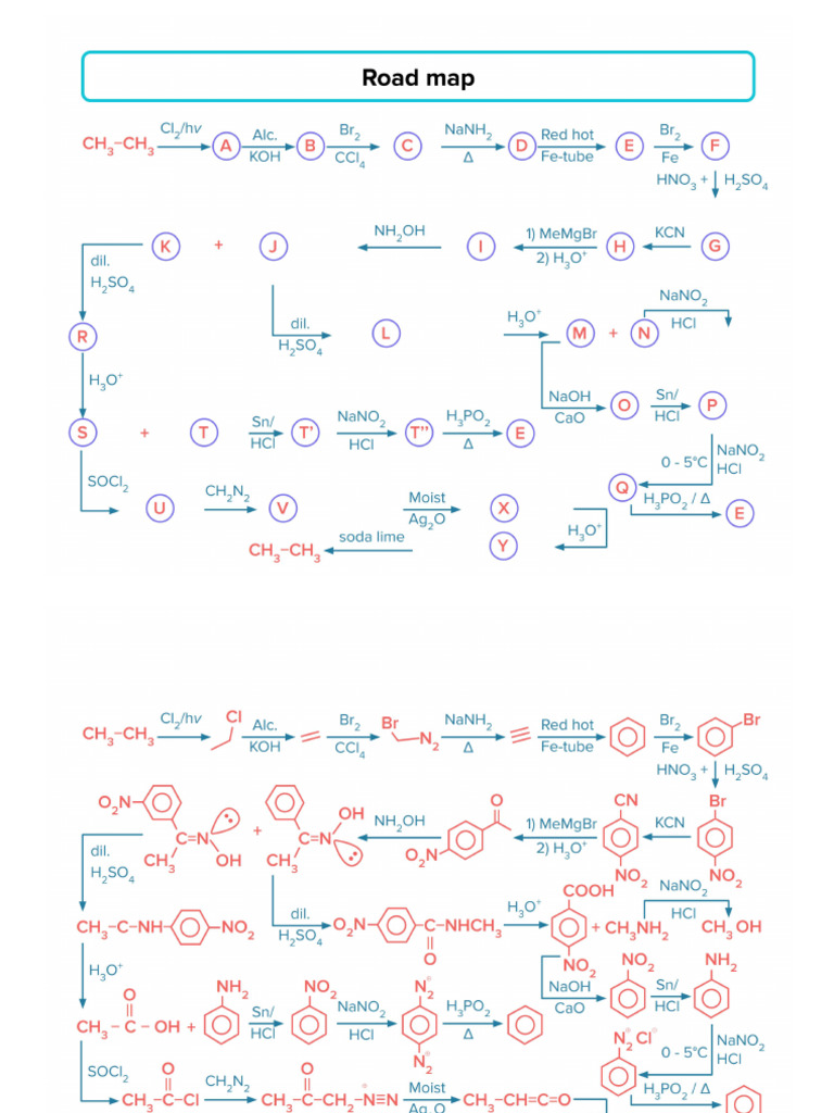 Selfstudys Com File | PDF