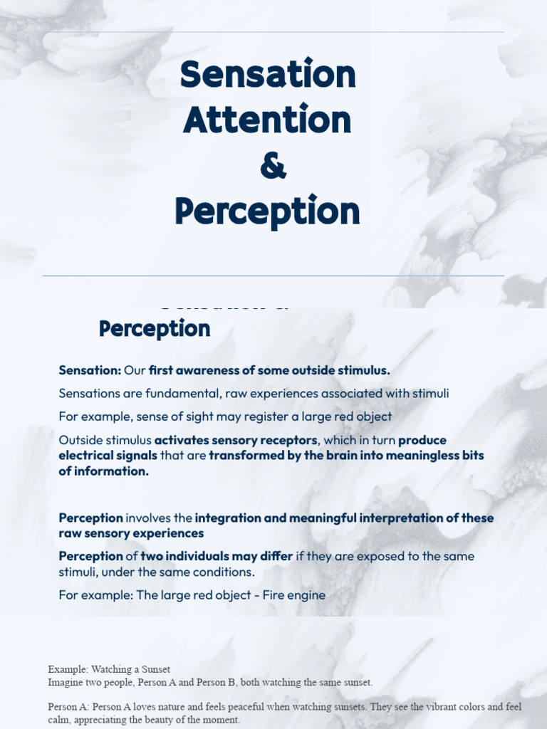 Sensation Attention & Perception | PDF | Senses | Perception