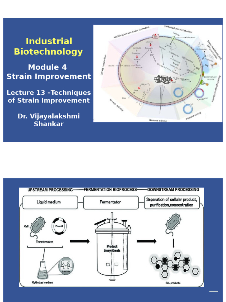 Techniques of Strain Improvement | PDF | Microorganism | Strain (Biology)