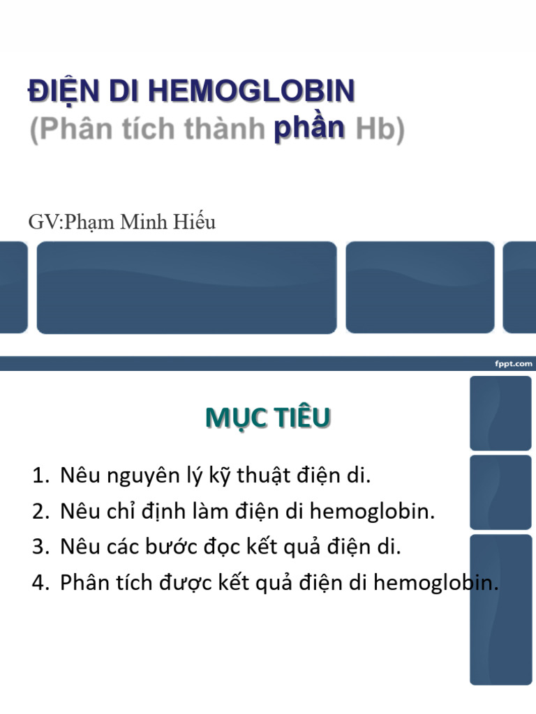 Dien Di Hemoglobin | PDF