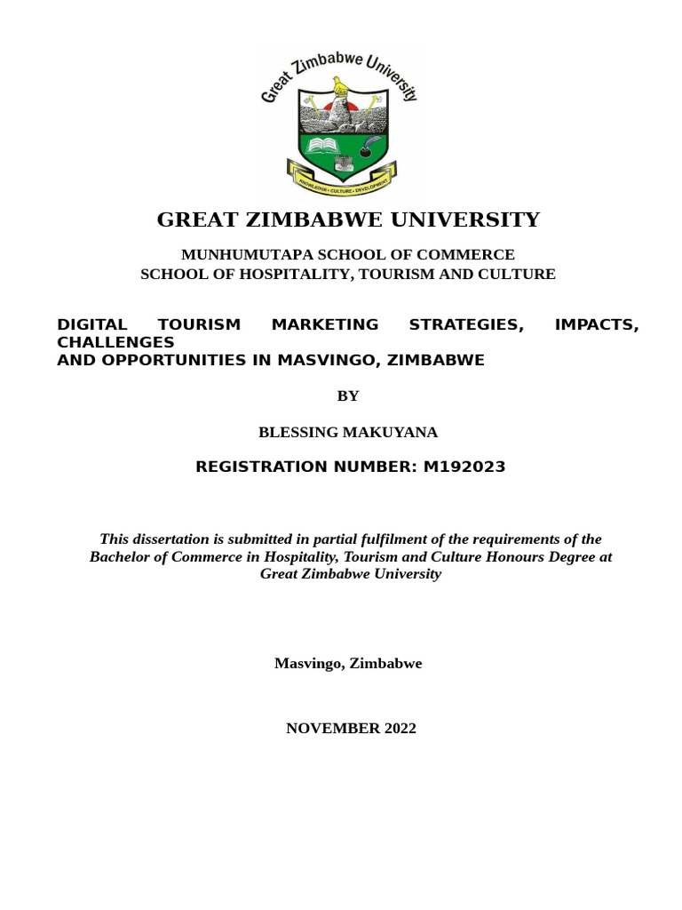 Blessing Makuyana Final Project | PDF | Digital Marketing | Marketing