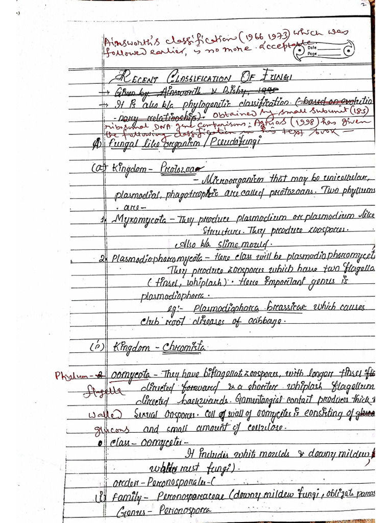 Fungal Classification | PDF