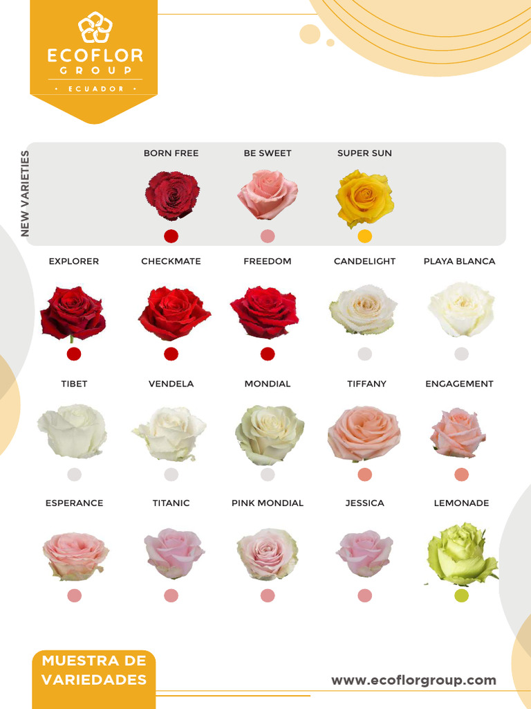 Catalogo Variedades Ecoflor | PDF