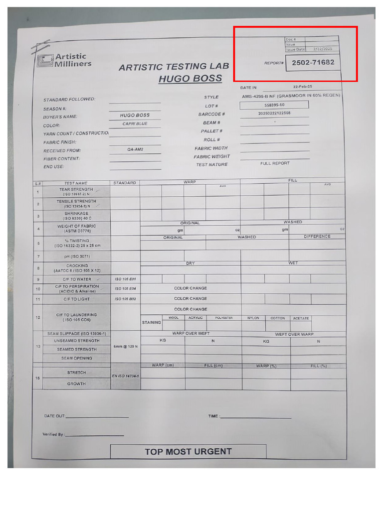 Hogo Boss Raw Data | PDF