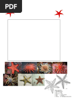 Fun Facts About Starfish | PDF | Oceanography | Organisms