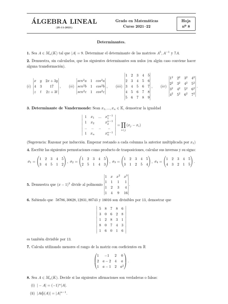 ProbAL 2020 2021 Hoja8 | PDF | Determinante | Álgebra