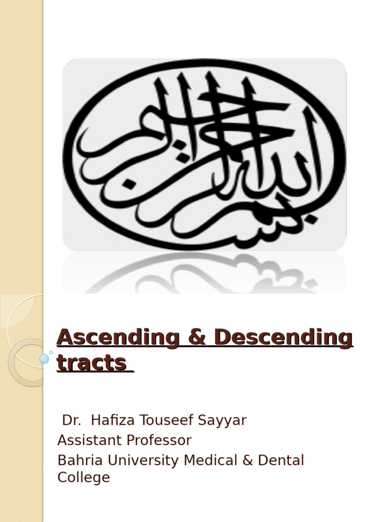 Understanding Ascending and Descending Tracts | PDF