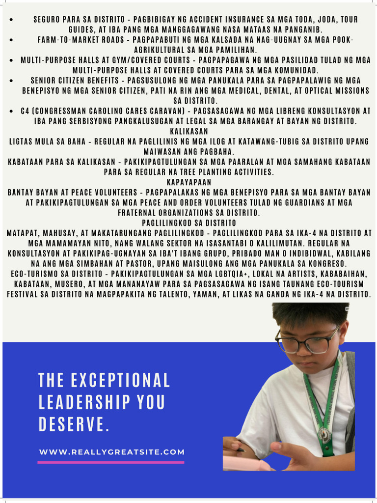 Blue and Pink Campaign Posters | PDF