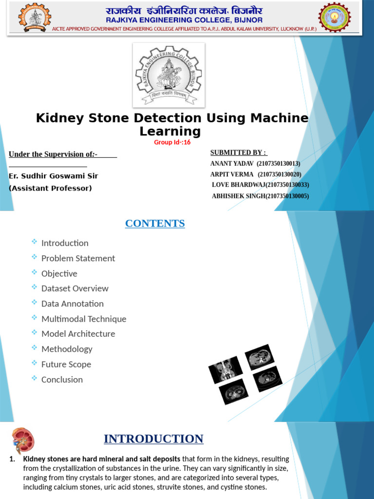 PROJECT_PPT_4JAN2025_VER01 | PDF | Radiology | Medical Imaging