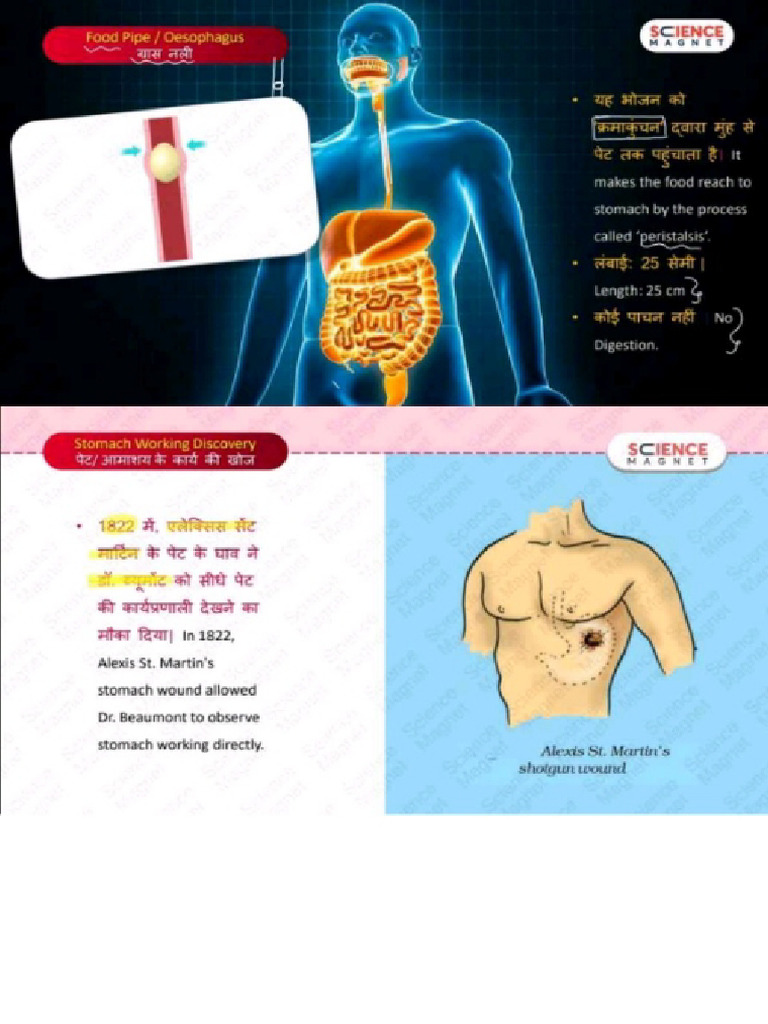 Science Class 2 | PDF