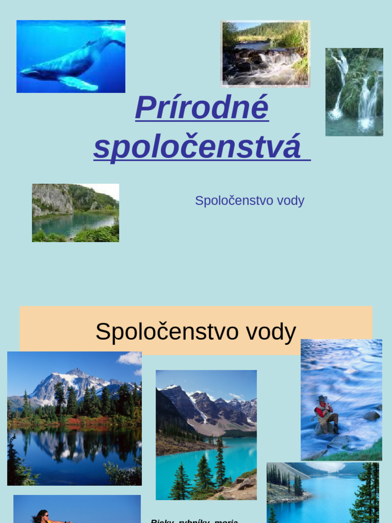 3 Prírodné Spoločenstvá II | PDF