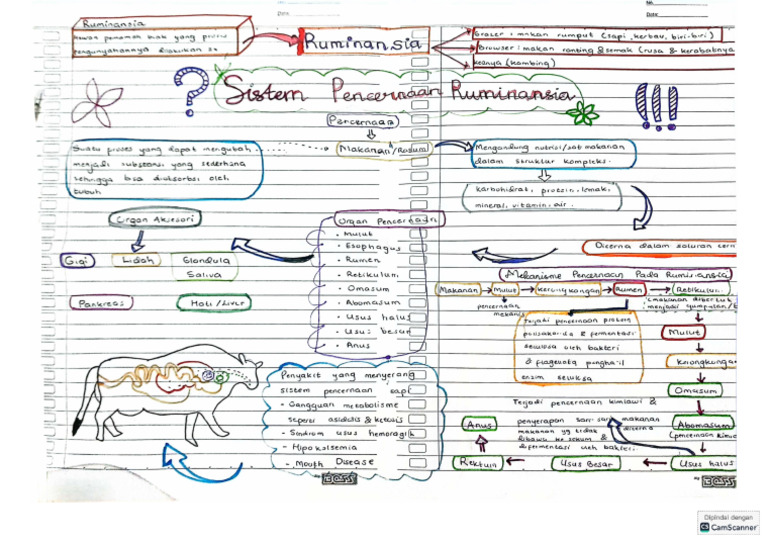 Tugas_mind Map | PDF