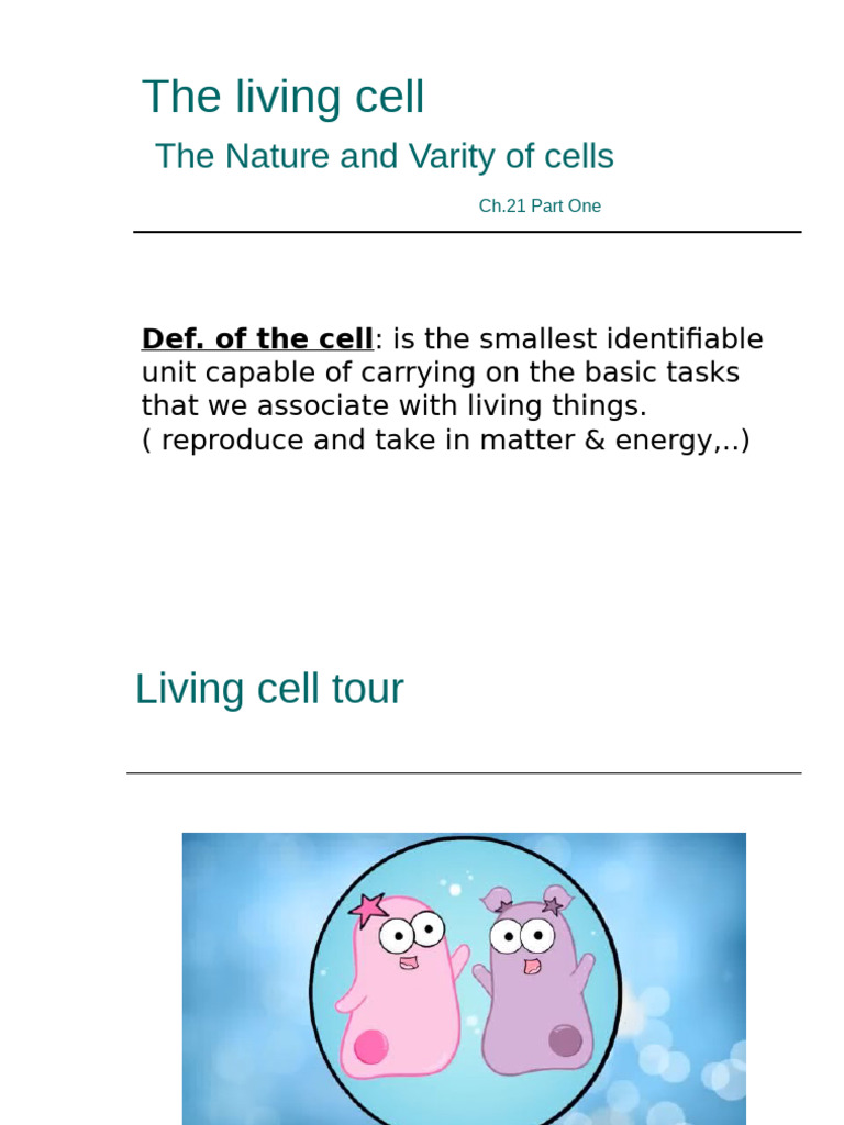 Understanding Living Cells: Structure & Function | PDF | Cellular ...