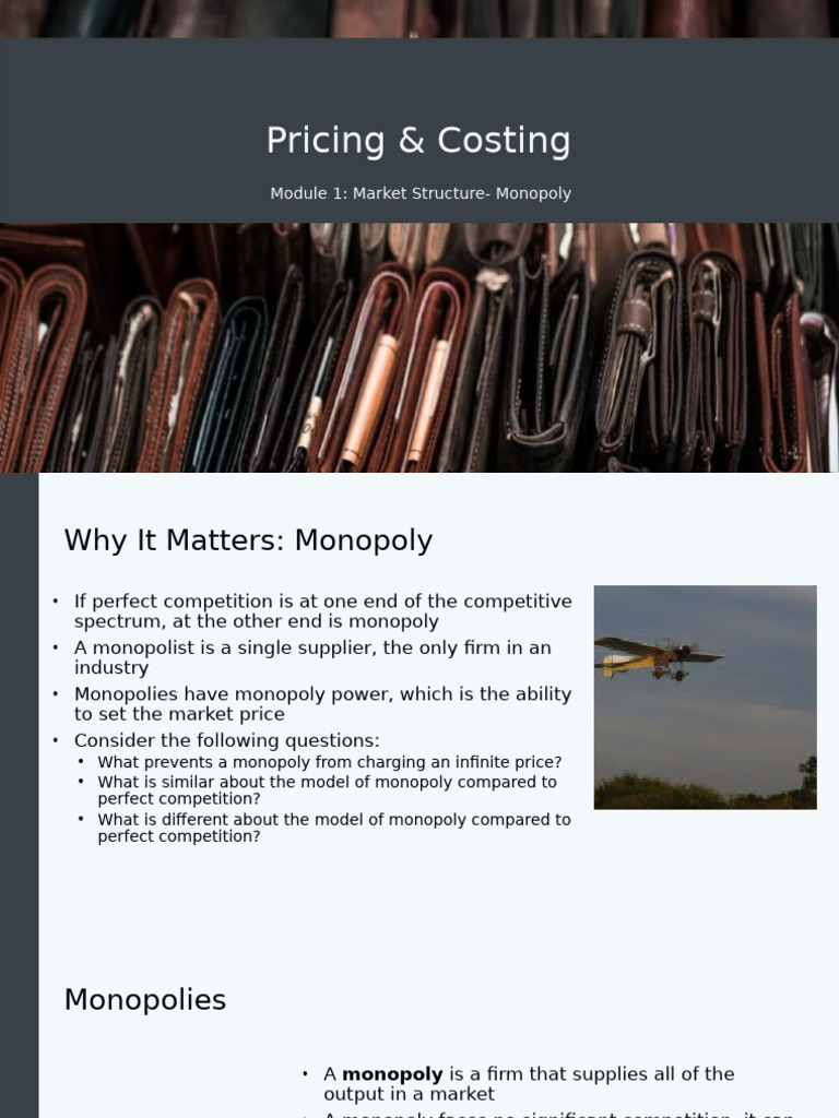 MODULE 1 PRICING & cOSTING - MONOPOLY | PDF | Monopoly | Profit (Economics)