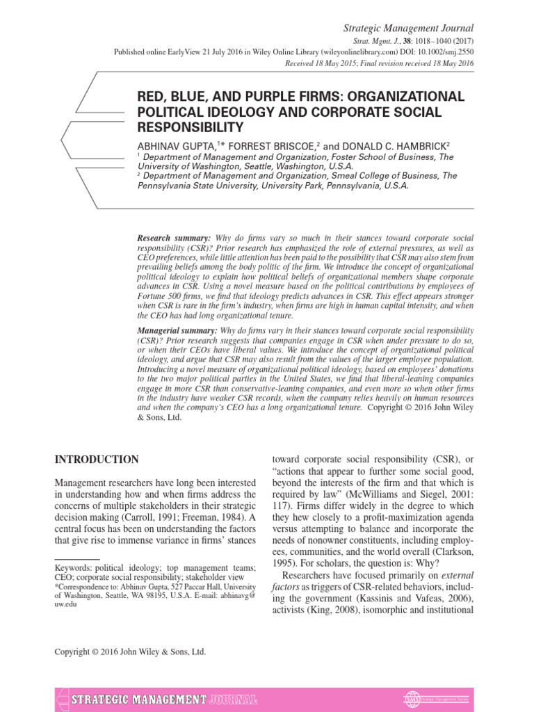 RED, BLUE, AND PURPLE FIRMS ORGANIZATIONAL - ORGANIZATIONAL POLITICAL ...