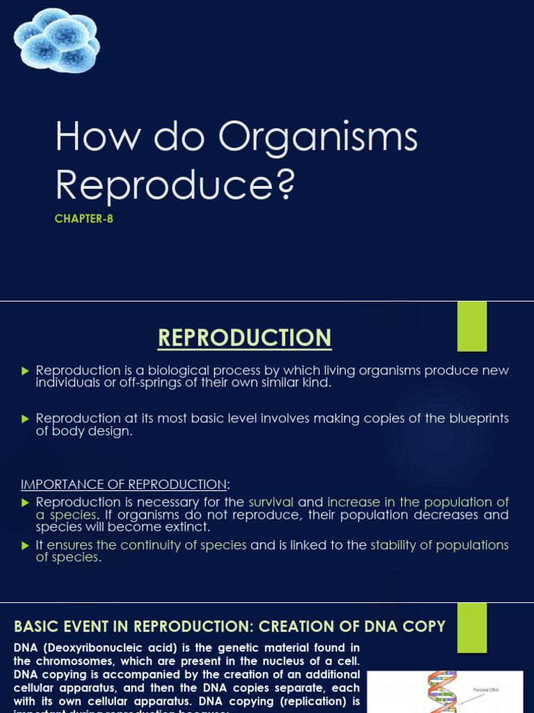 How Do Organisms Reproduce Final s2 | PDF | Flowers | Menstrual Cycle