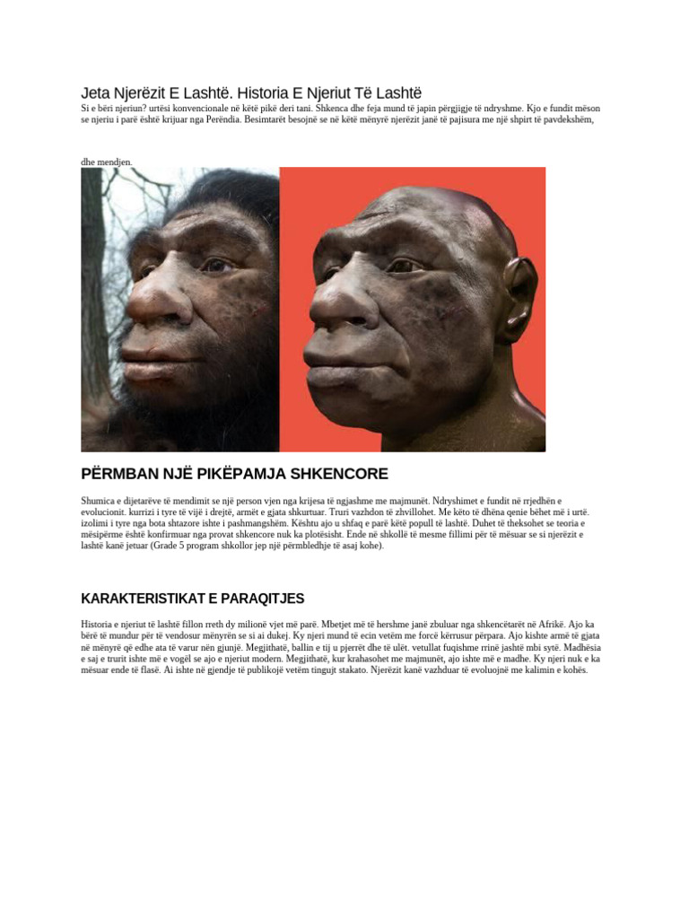 Jeta Njerëzit E Lashtë | PDF