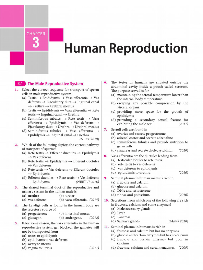 human reproduction questions | PDF