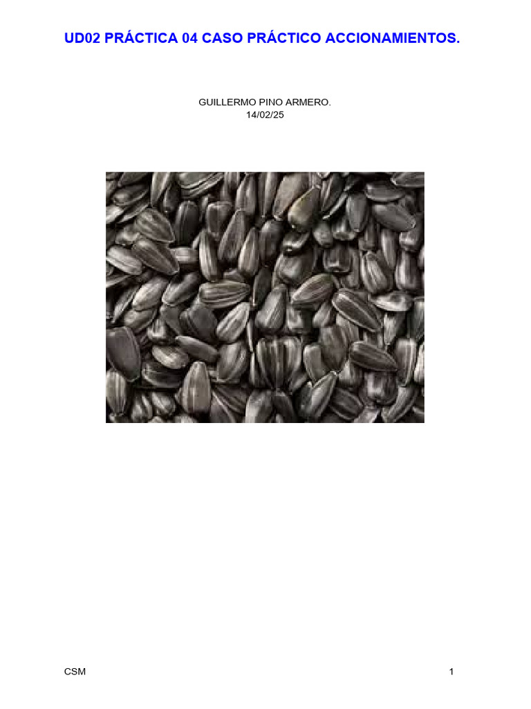 Ud02 Práctica 04 Caso Práctico Accionamientos | PDF