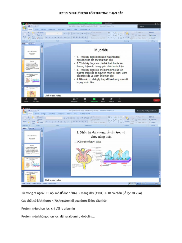 Lec13 S2.10 Hmu | PDF