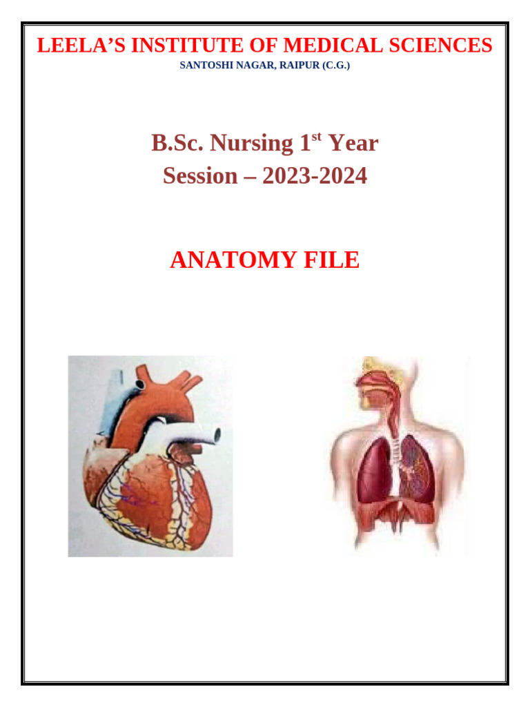 B.Sc. Nursing Anatomy File 2023-2024 | PDF