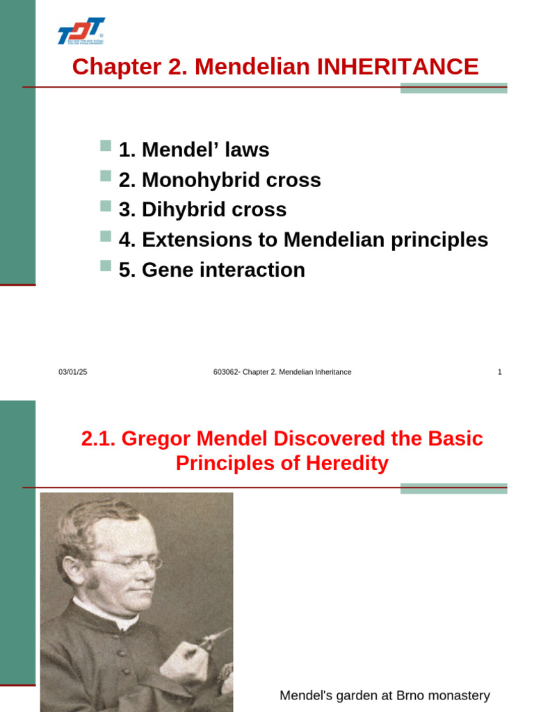 Chương 2. Mendelian Inheritance (D Y) | PDF | Dominance (Genetics) | Heredity