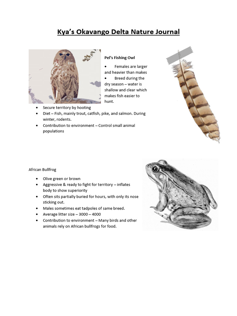 Okavango Delta nature Journal | PDF