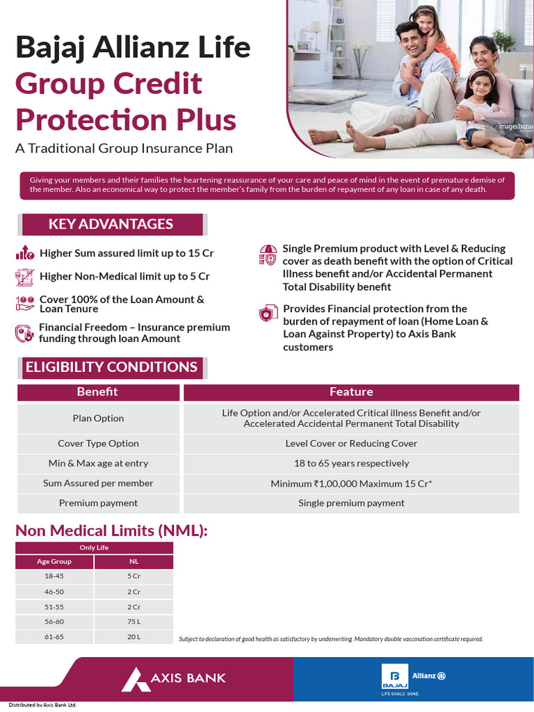 Axis Group Credit Protection Plus One Pager GCPP | PDF | Insurance ...