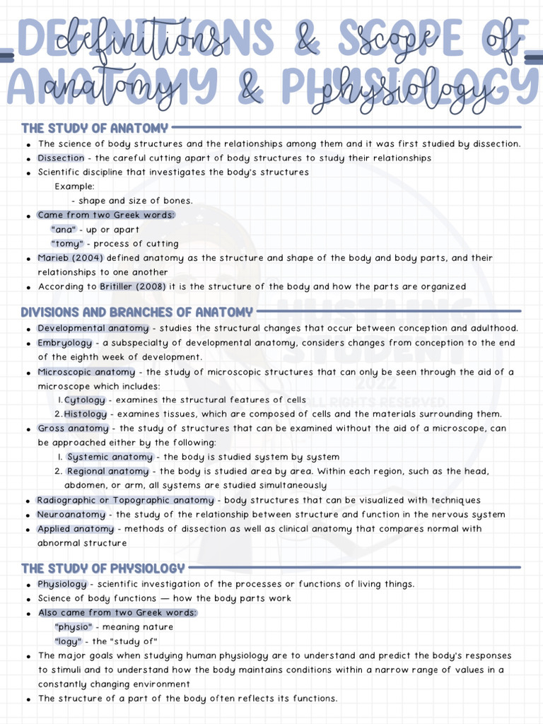 Anaphy Notes Hustling | PDF