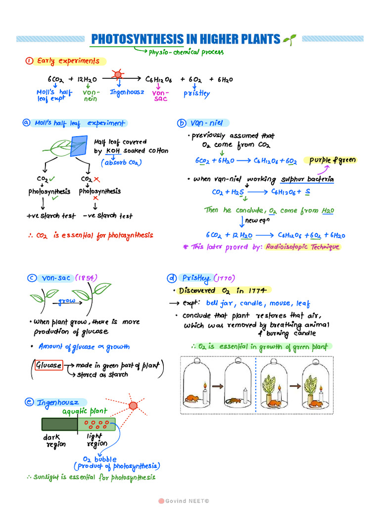 Plant Physiology | PDF