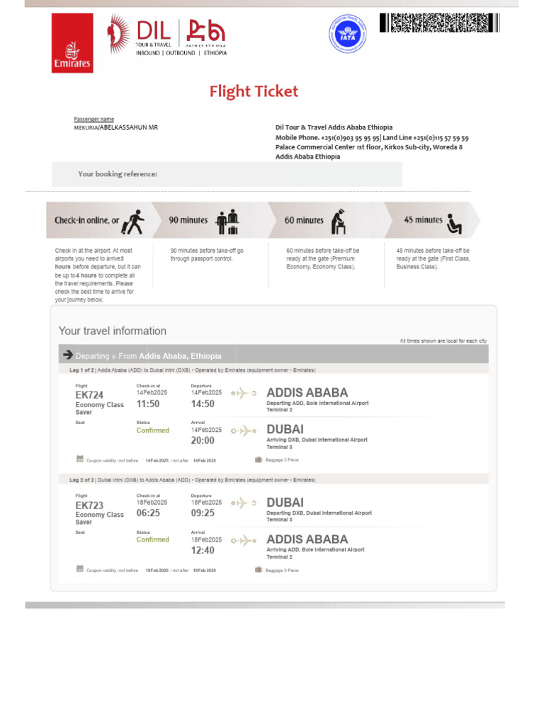 Flight Ticket: Your Booking Reference | PDF