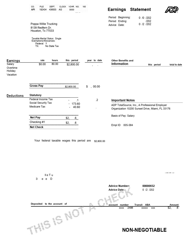Payroll Statement Summary | PDF | Payroll Tax | Government Finances