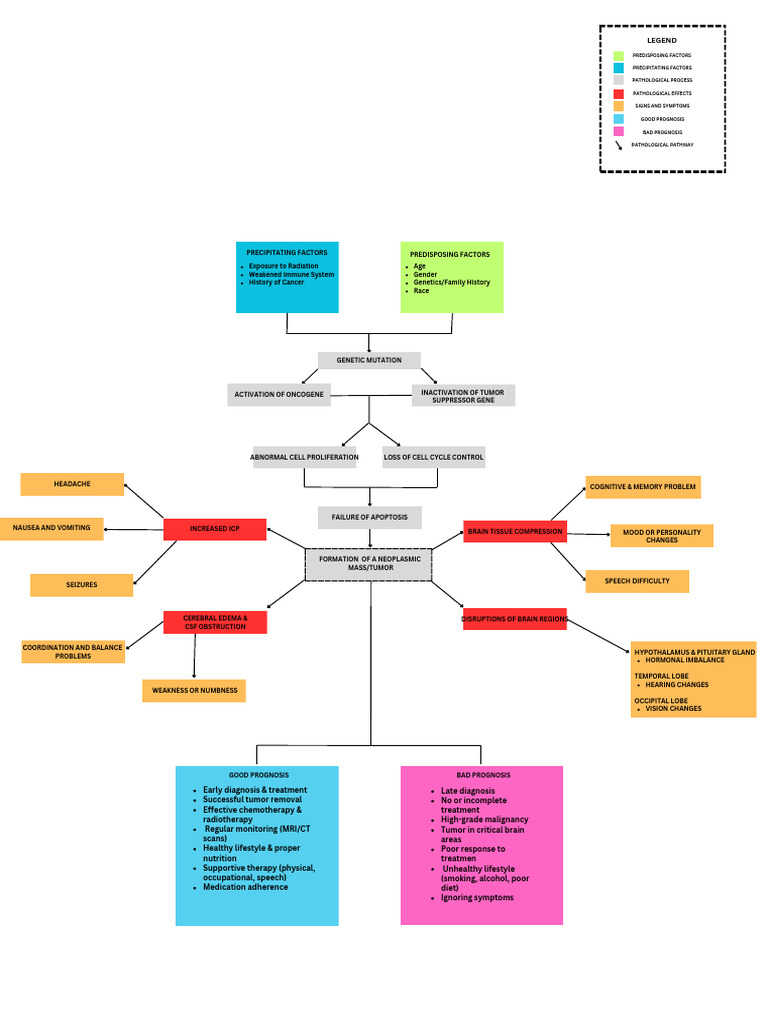 Brain Tumor Pathophysiology | PDF | Nervous System | Clinical Medicine