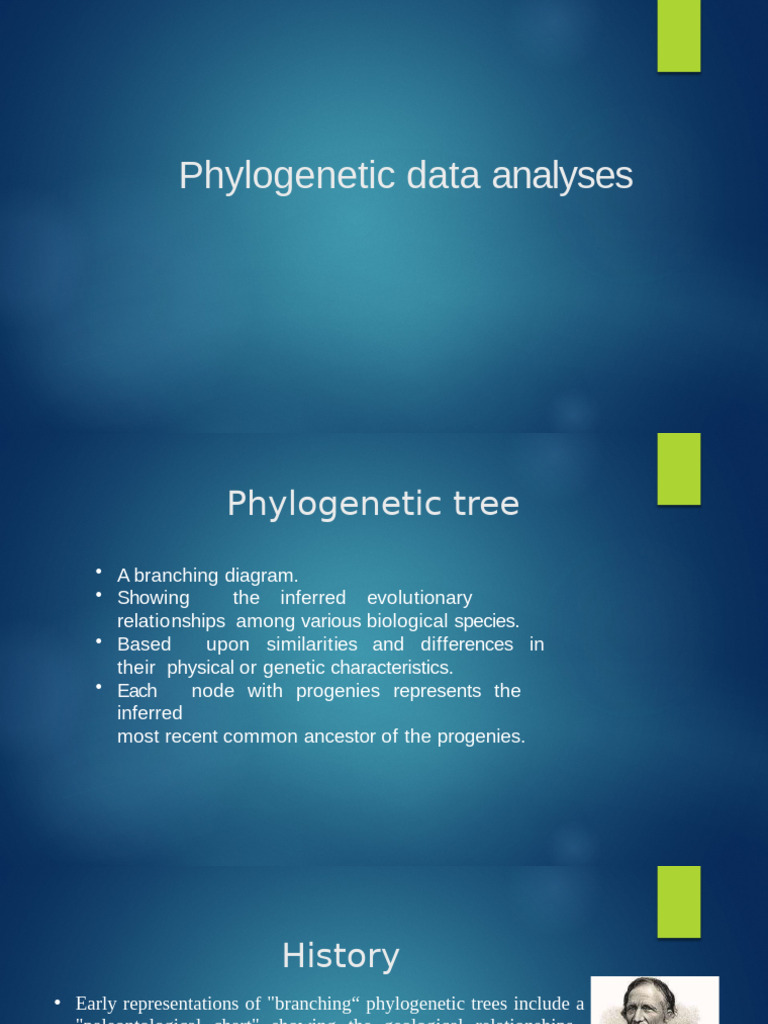 Phylogenetic Analysis Extra (1) | PDF | Phylogenetic Tree | Phylogenetics