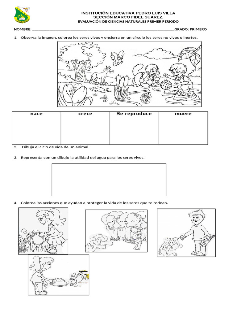 Evaluación Ciencias Naturales Primer Grado | PDF