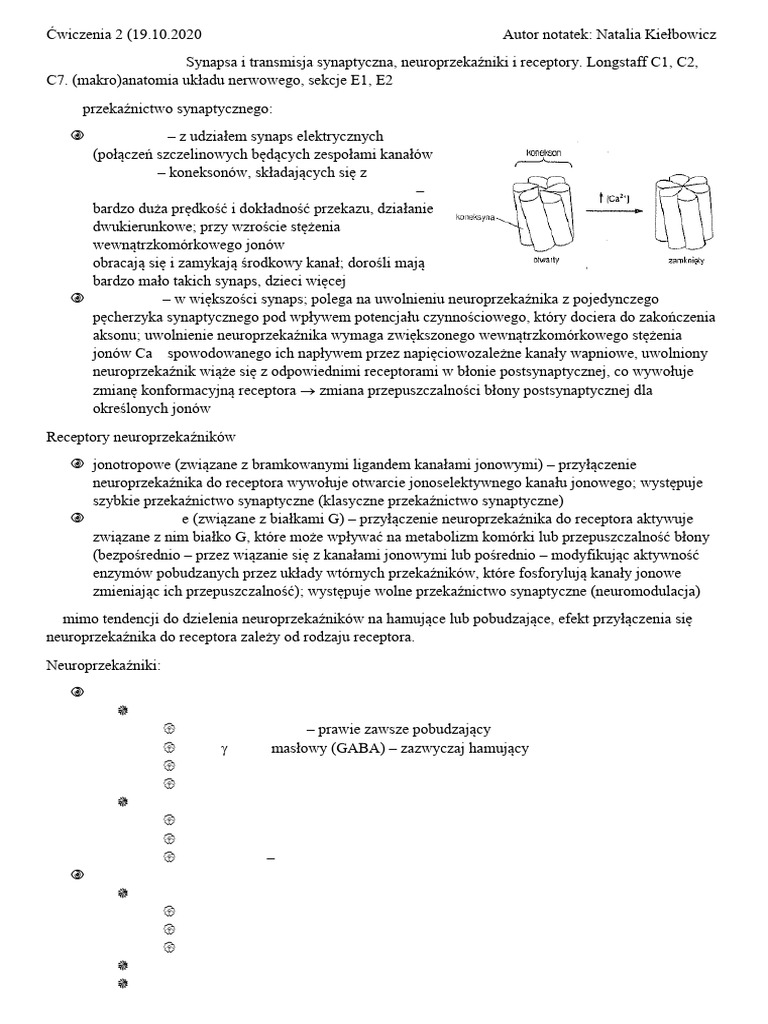 Ćwiczenia 2 - Neuro | PDF