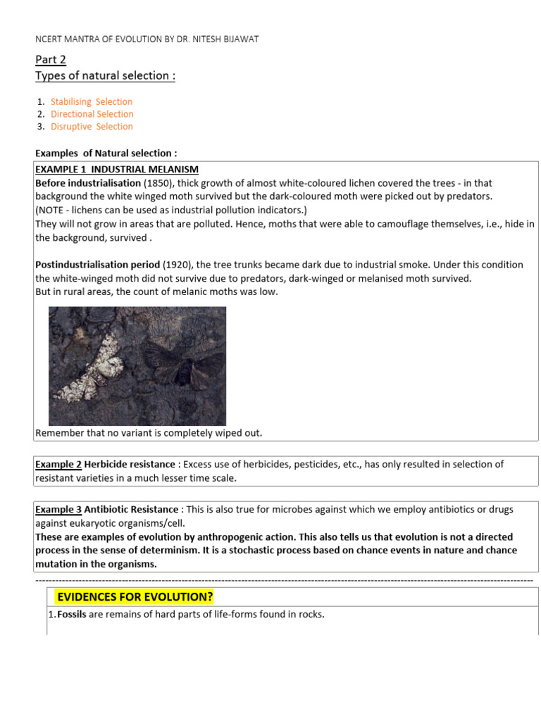 Part 2 Evolution | PDF | Homology (Biology) | Evolution