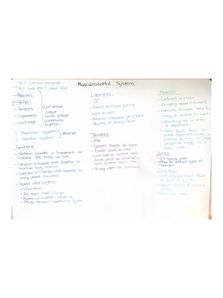 Binds Different | PDF